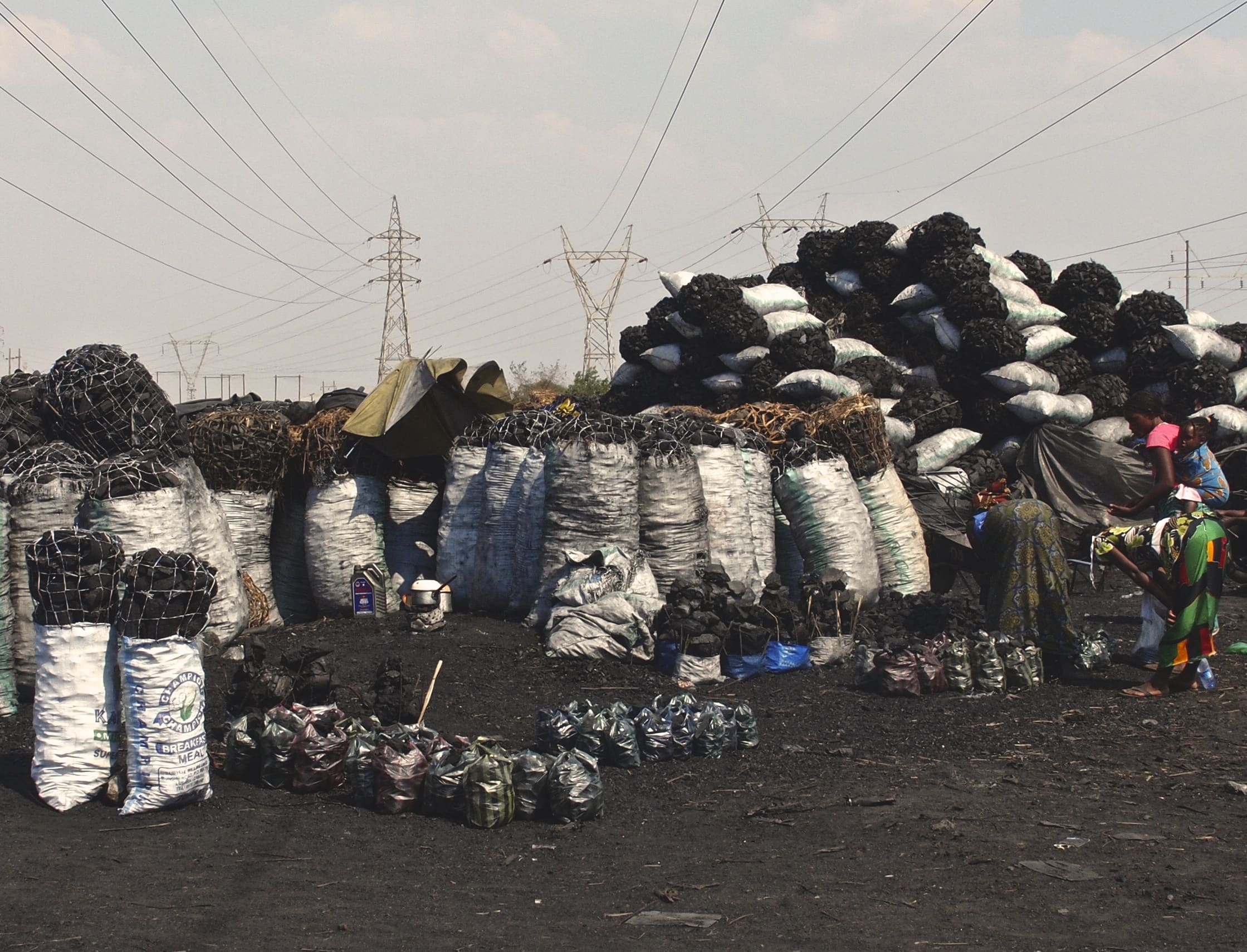 Over reliance on charcoal as energy source may lead to deforestation ...