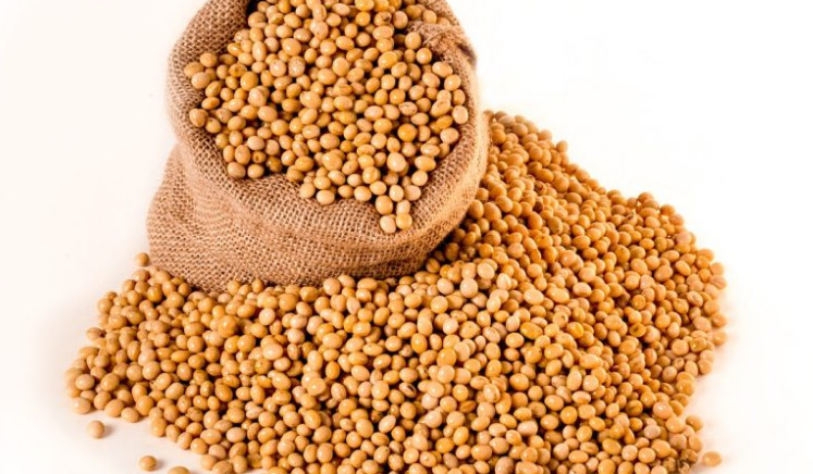 Farmers need Govt's assistance - stakeholders - Lusaka Star