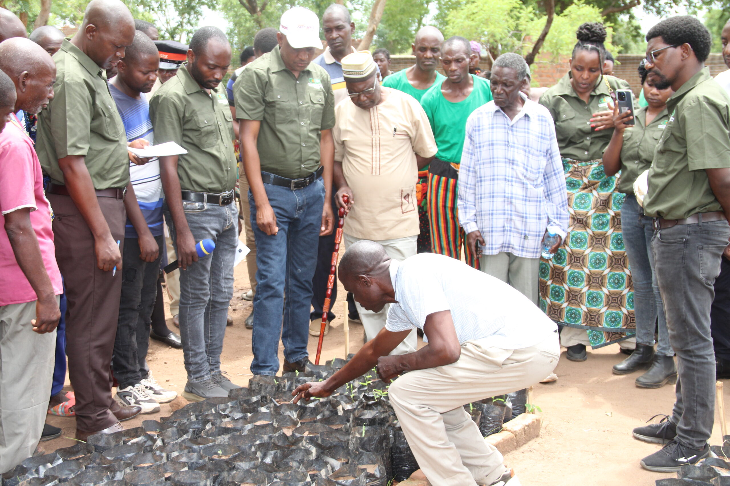 Turning bamboo into hope: How Nyimba district is thriving amid drought ...